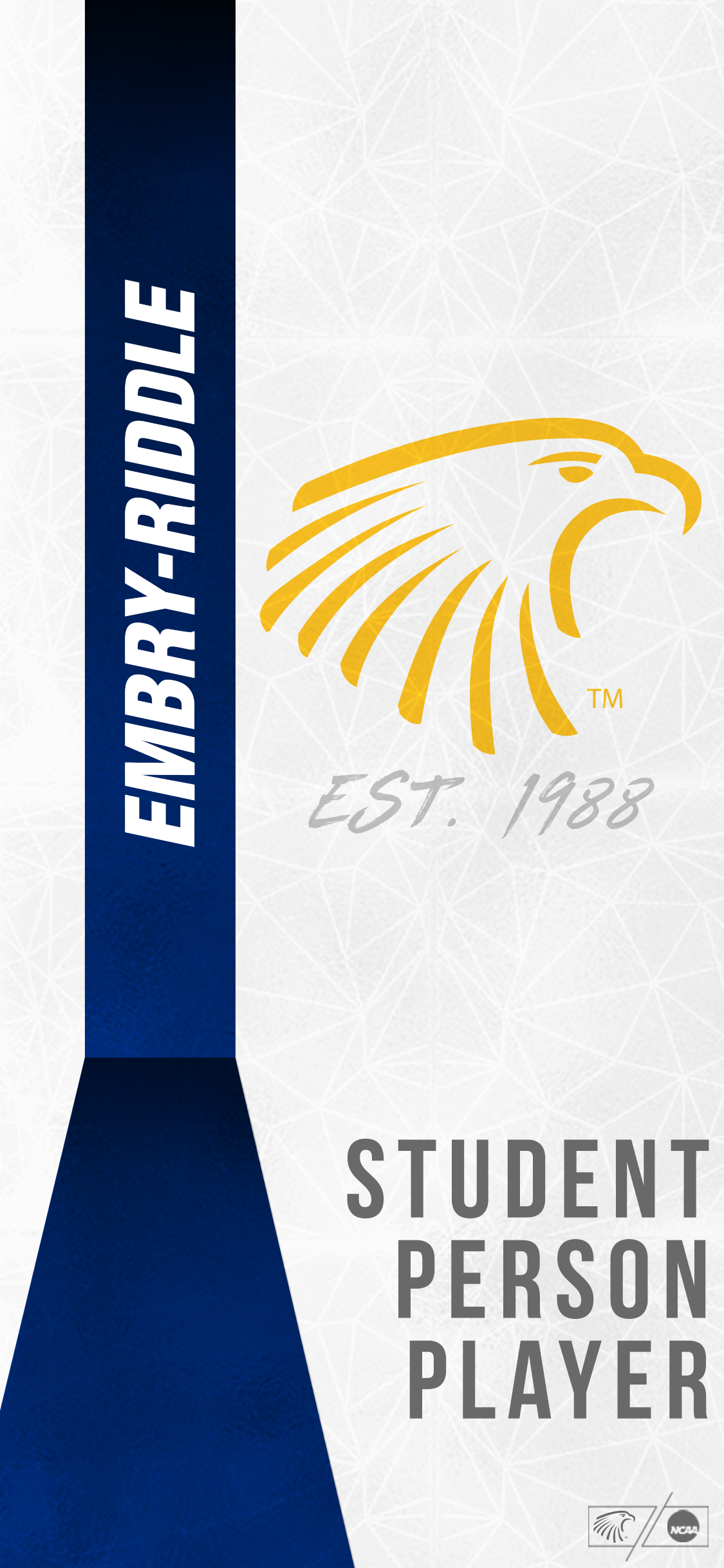 Wallpaper Downloads - Embry-Riddle Aeronautical University Athletics