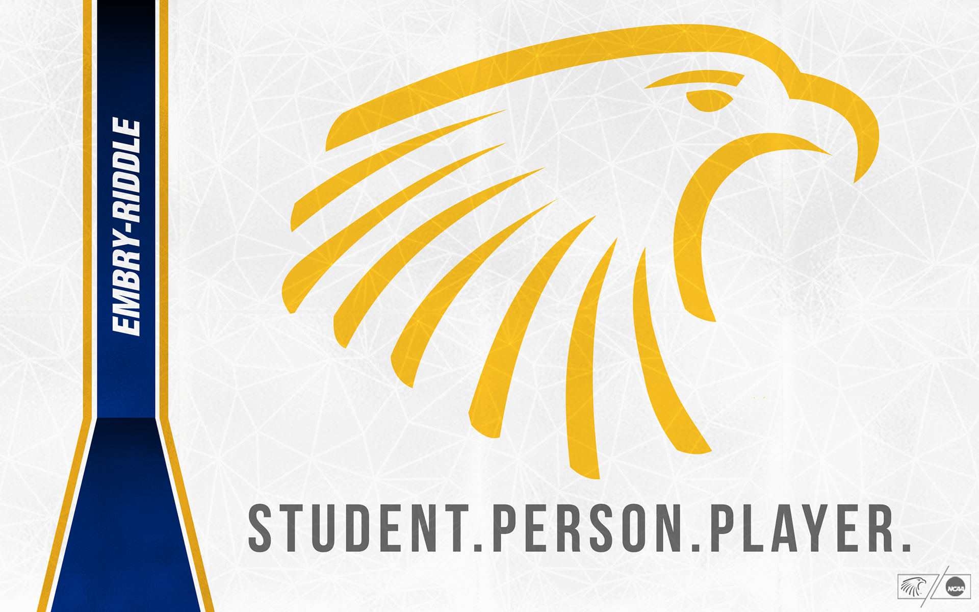 Wallpaper Downloads - Embry-Riddle Aeronautical University Athletics