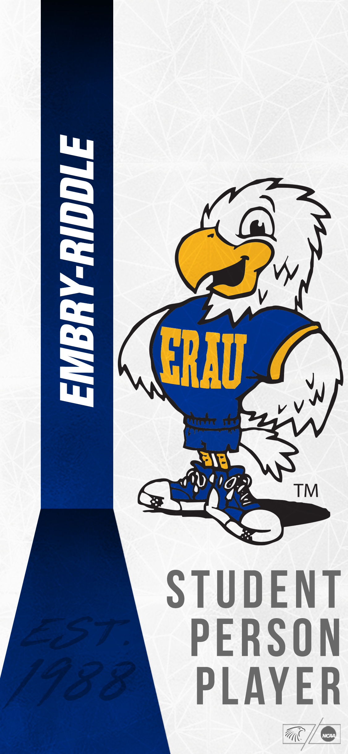Wallpaper Downloads - Embry-Riddle Aeronautical University Athletics