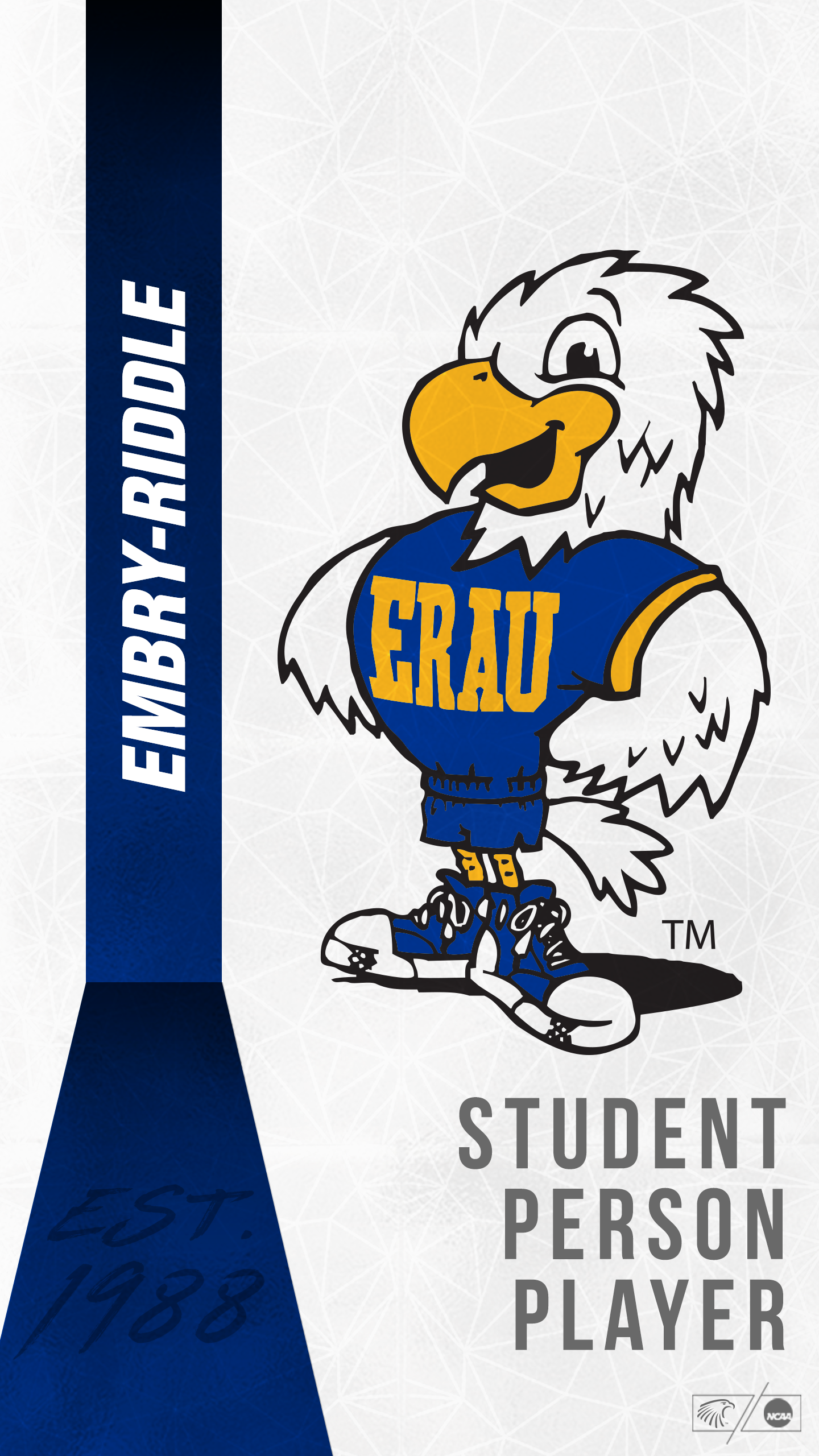 Wallpaper Downloads - Embry-Riddle Aeronautical University Athletics