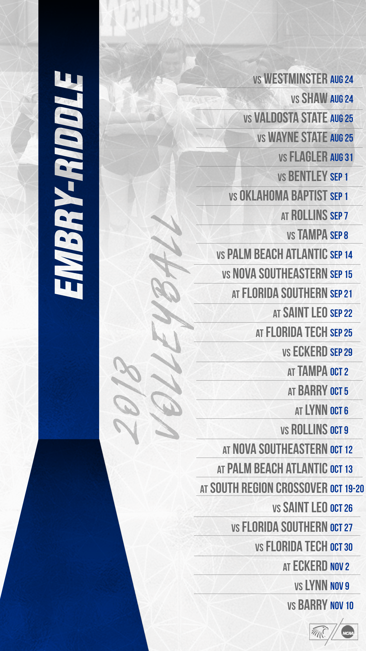 Wallpaper Downloads - Embry-Riddle Aeronautical University Athletics