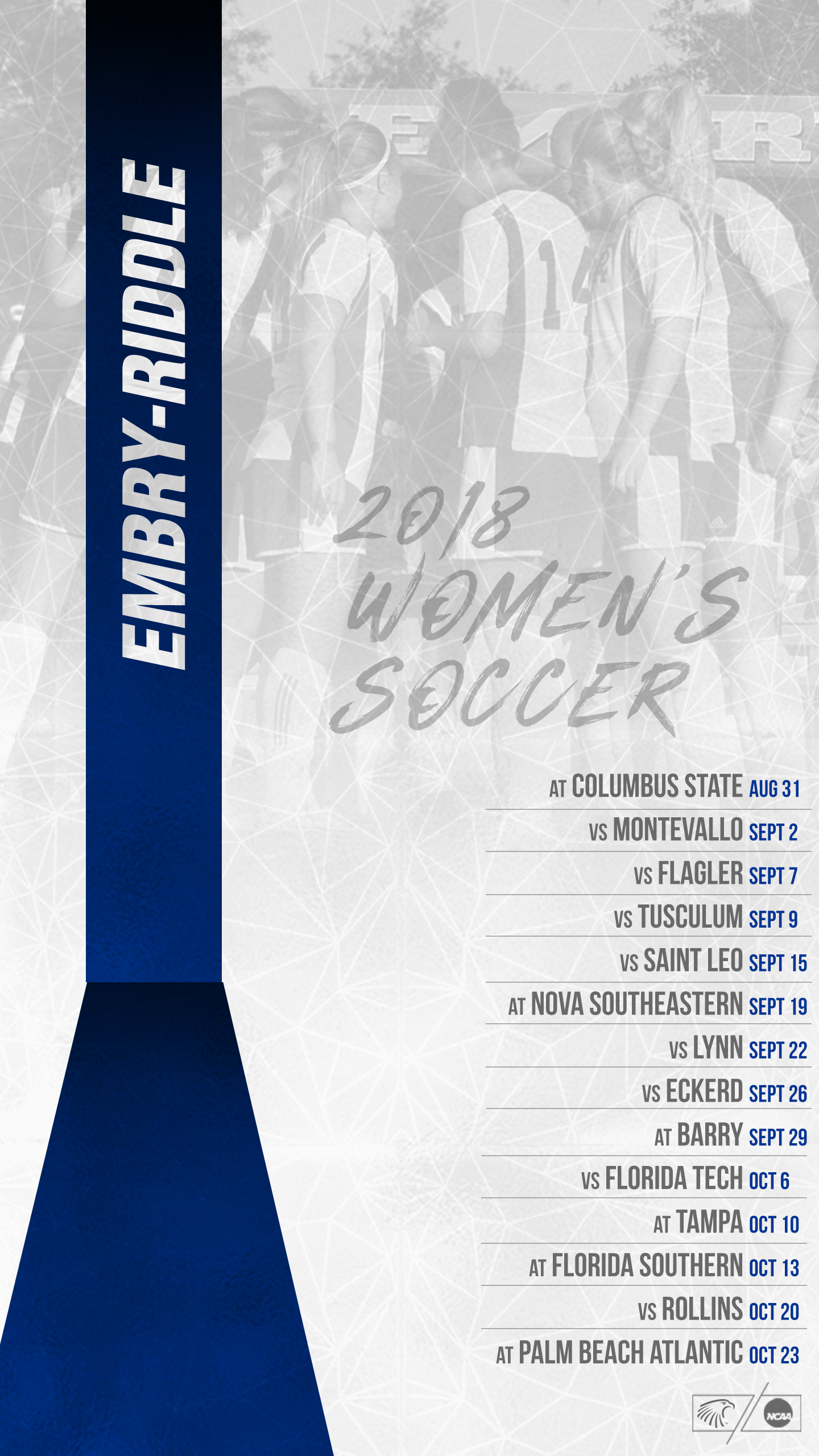 Wallpaper Downloads - Embry-Riddle Aeronautical University Athletics