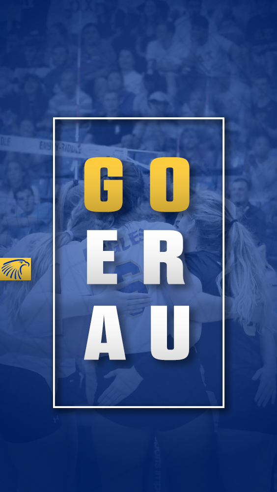 Wallpaper Downloads - Embry-Riddle Aeronautical University Athletics