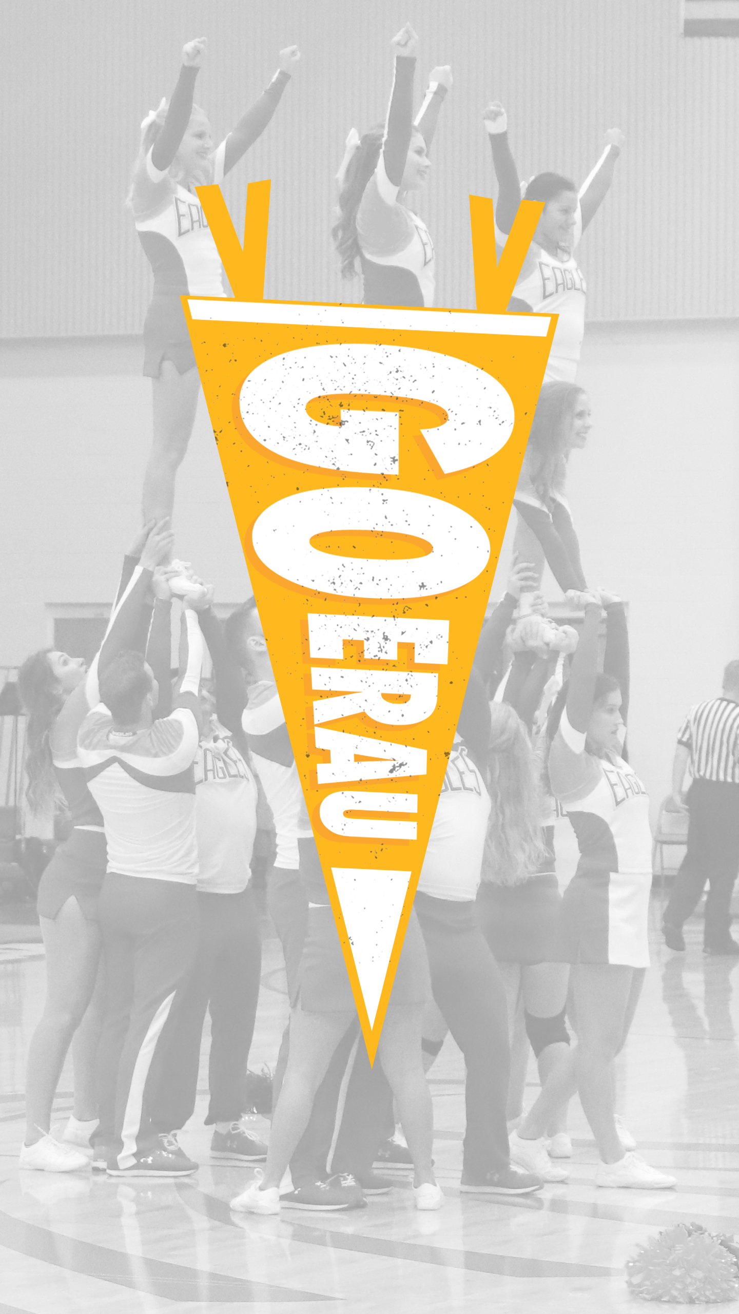 Wallpaper Downloads - Embry-Riddle Aeronautical University Athletics