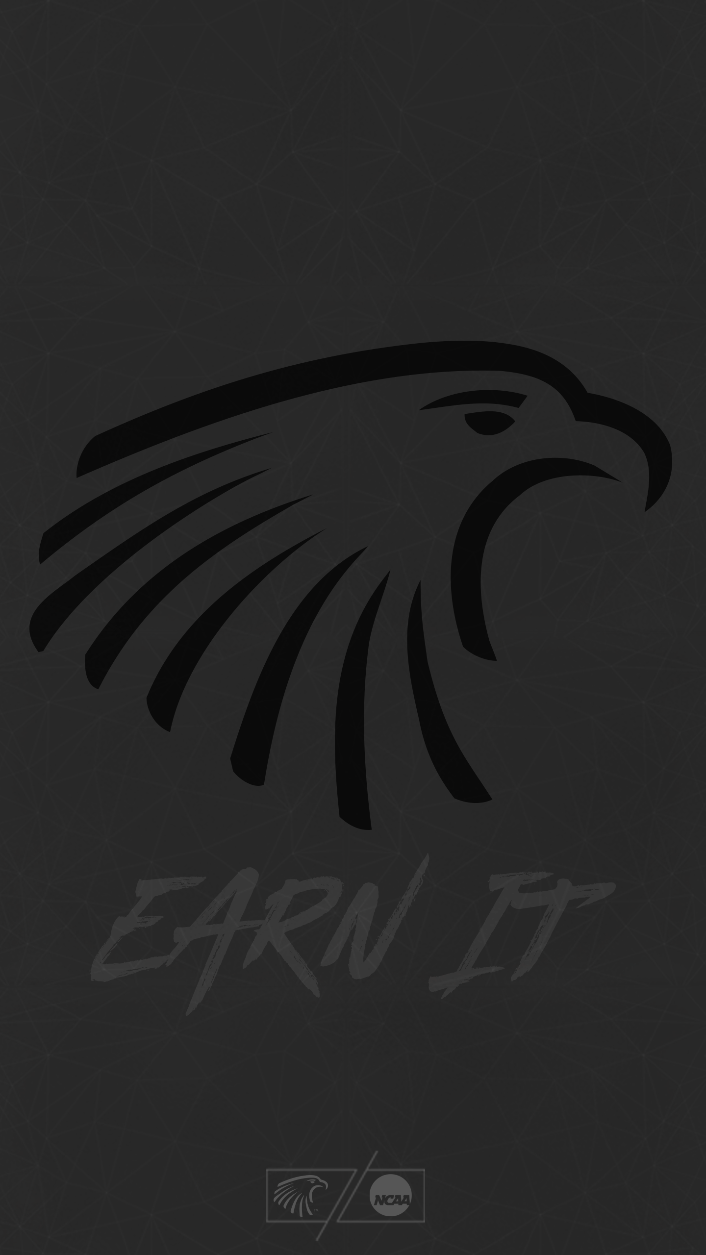 Wallpaper Downloads - Embry-Riddle Aeronautical University Athletics