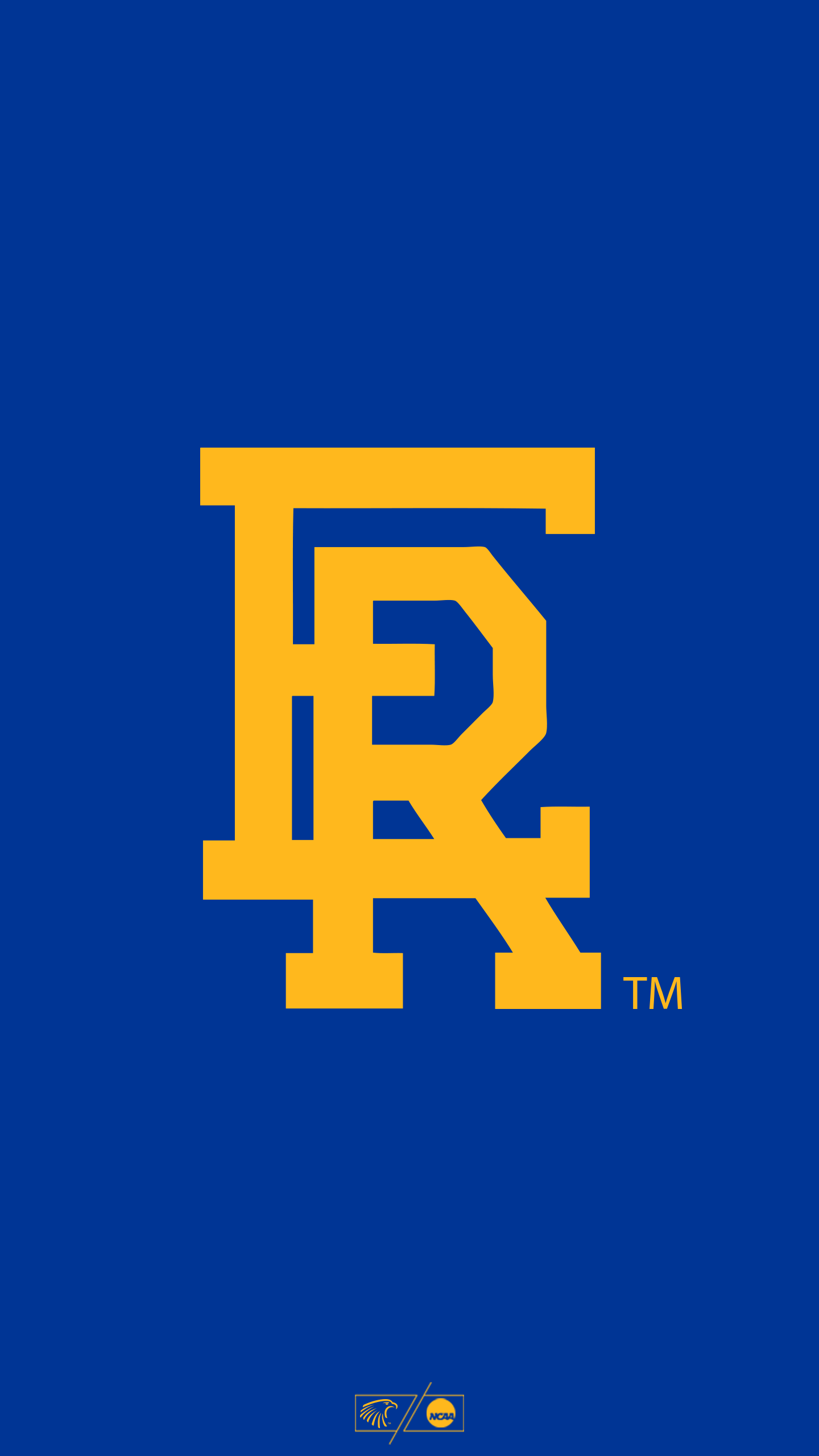 Wallpaper Downloads - Embry-Riddle Aeronautical University Athletics