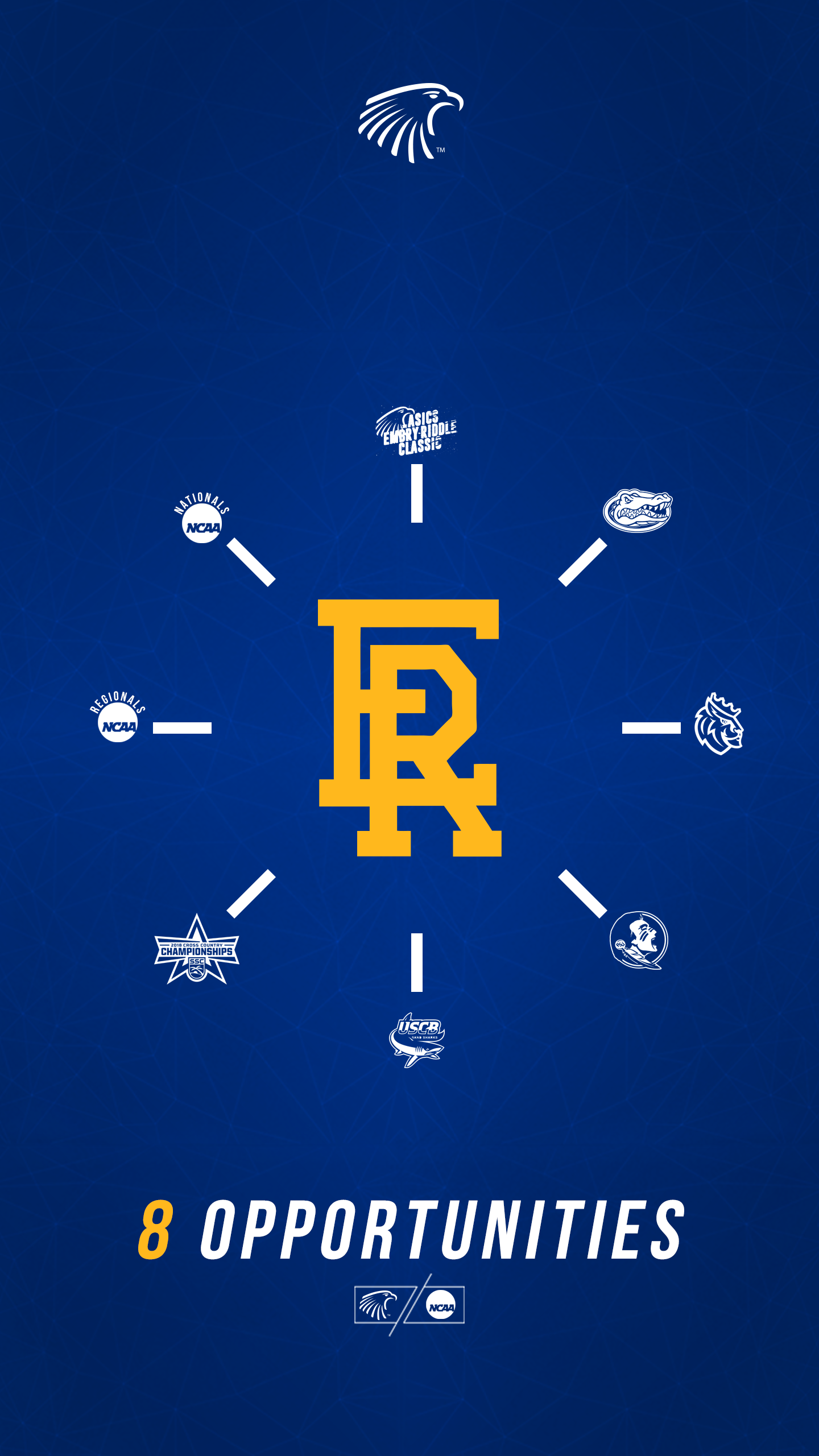 Wallpaper Downloads - Embry-Riddle Aeronautical University Athletics